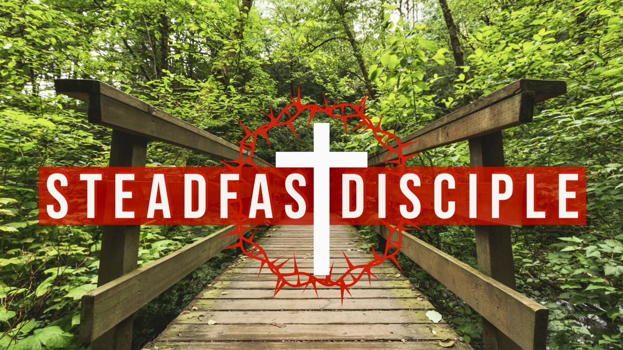 God Is Not Mocked The Principle Of Sowing And Reaping Steadfast Disciple